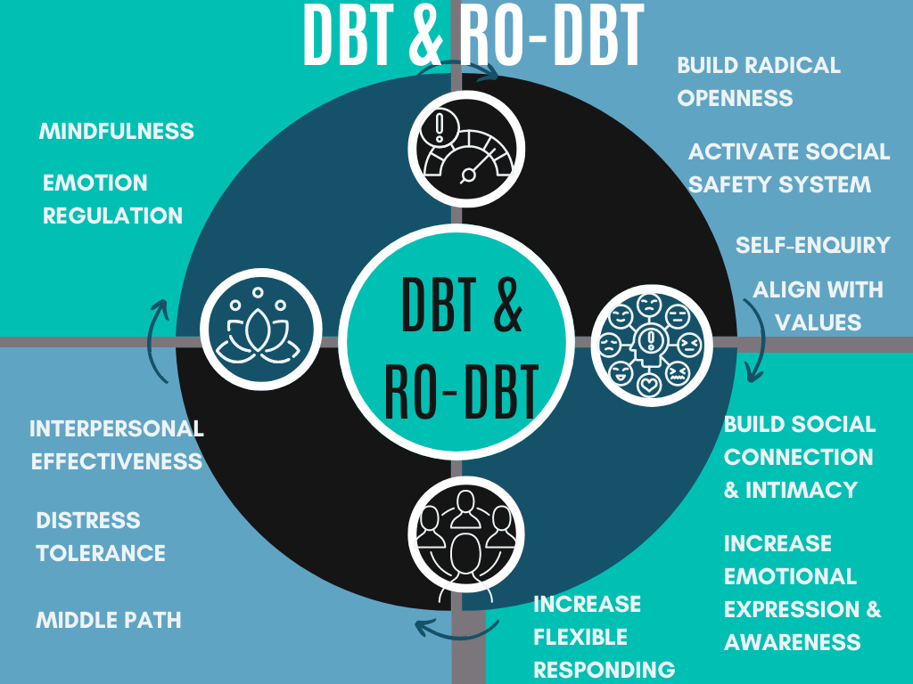 Online DBT Program: DBT & RO-DBT Online Skills Class Monthly $599